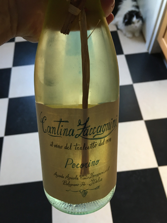 Ett vitt och ett rött vin: Cantina Zaccagnini Pecorino 2018 och ...