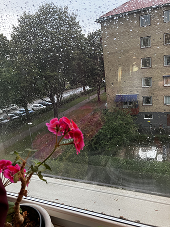 Torsdag kväll den 15 september och fredagen den 16 september 2022: Om ...